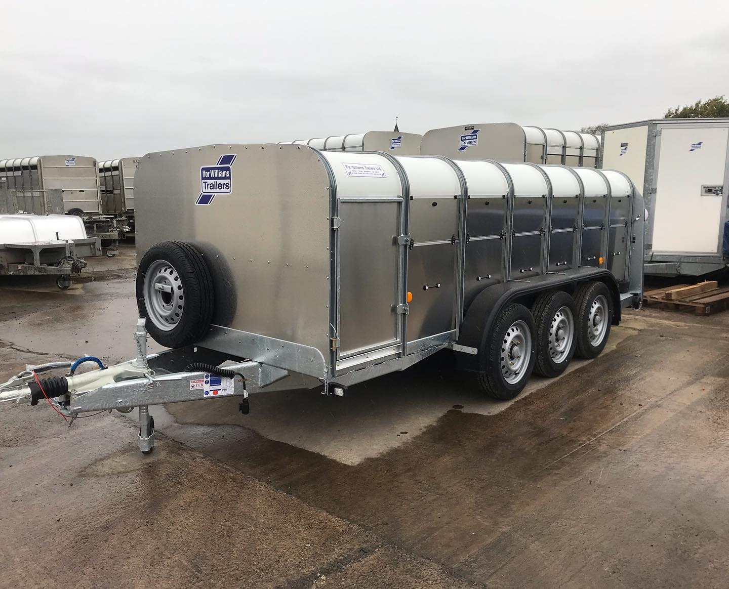 Ifor Williams Livestock Trailers - New Trailers | Tuer Trailers, Cumbria