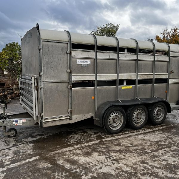 Used Ifor Williams Livestock Trailers - Quality Used Trailers | Tuer ...